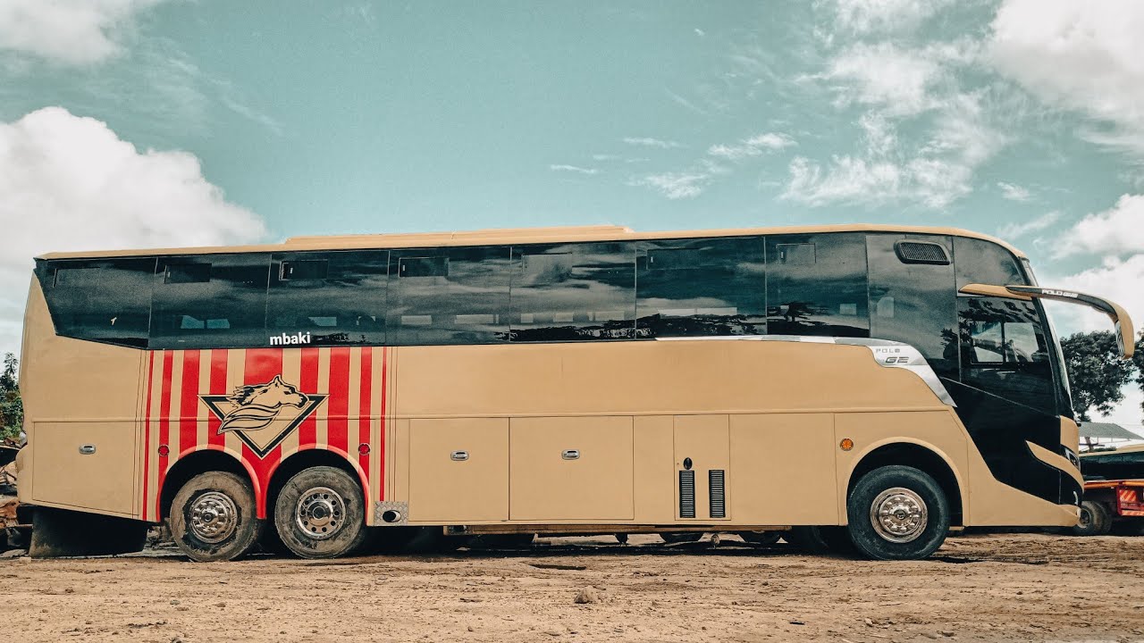 Most awaited buses to hit the roads. TAHMEED EXPRESS Polo G2 before and ...