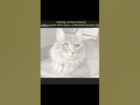 cat face theory - YouTube
