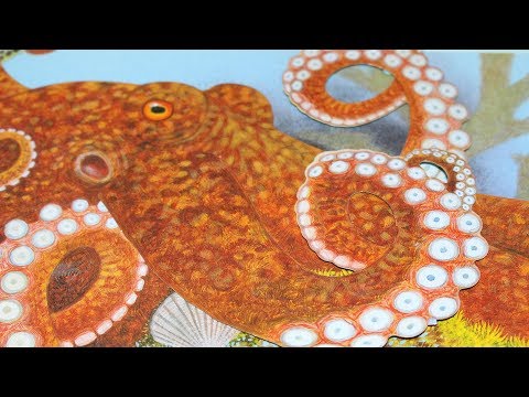 Sounds Of The Wild Ocean!