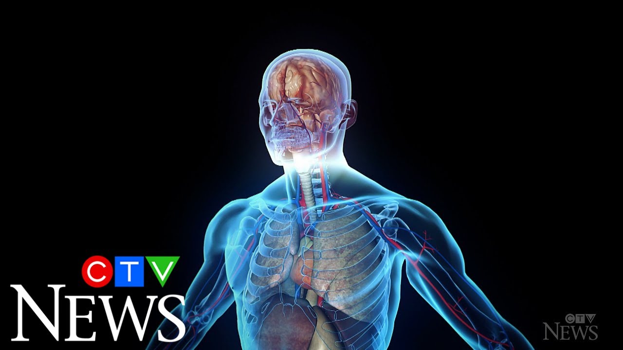 Newly discovered human organ may help reduce side effects of cancer ...