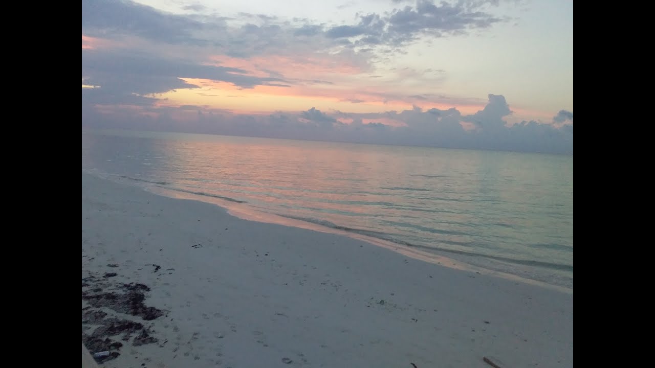 A Beautiful Afternoon Beach Walk Bahamas - YouTube