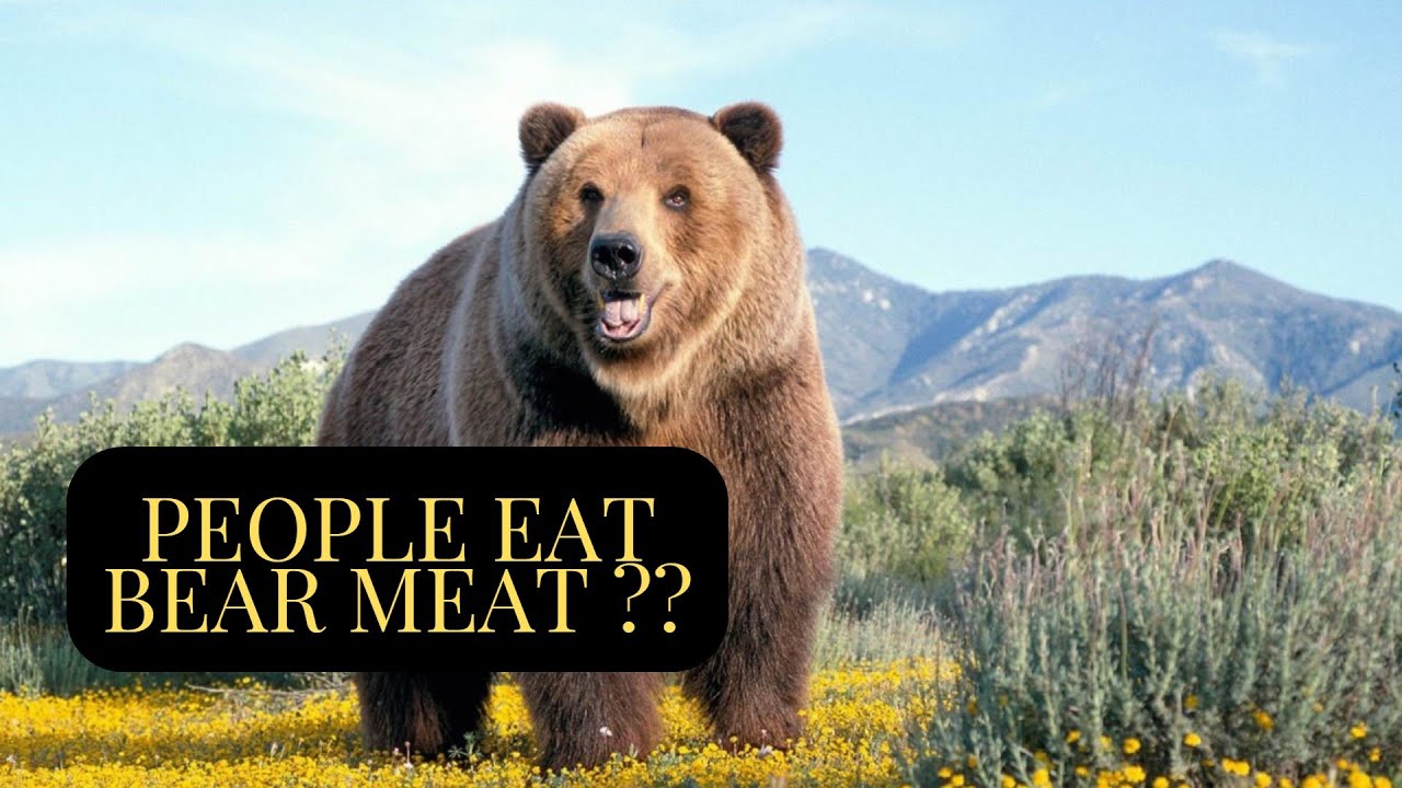 Bear Hunt Puts Bear Into Vending Machine - Is that even edible ?! # ...