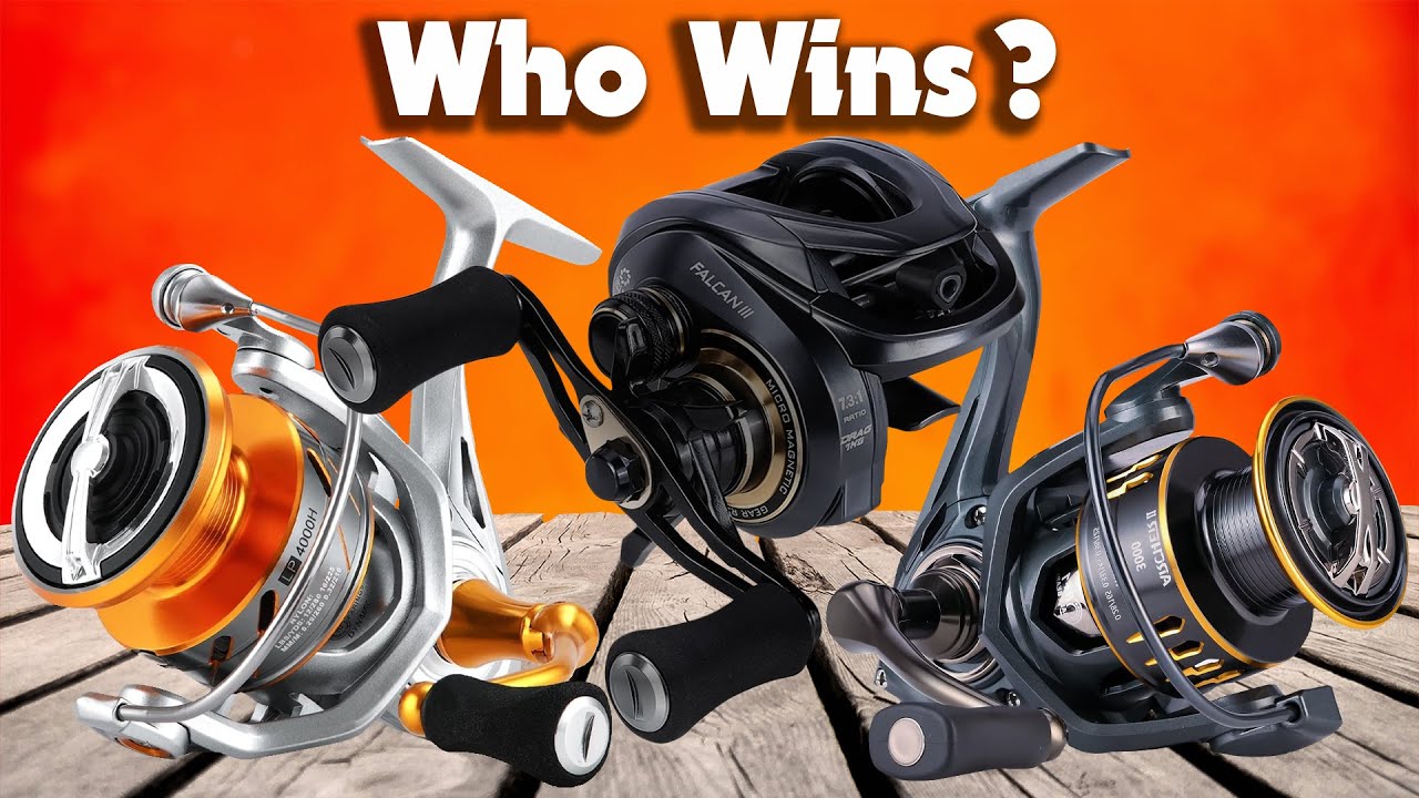 Best SeaKnight Fishing Reel | Who Is THE Winner #1? - YouTube