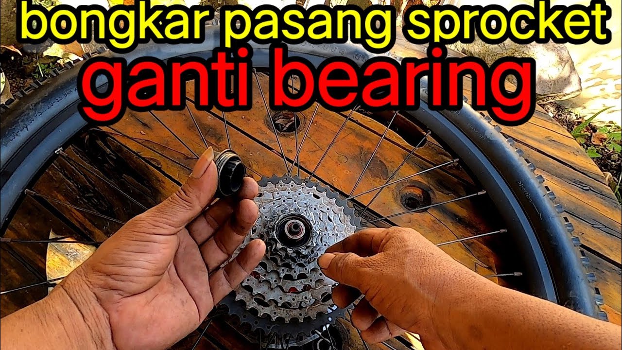 ganti bearing hub belakang sepeda mtb - YouTube