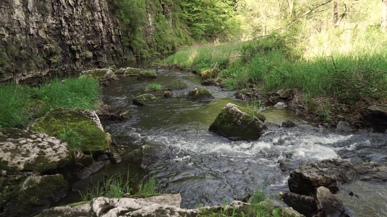 Algific Talus Slopes | Iowa Land and Sky - YouTube