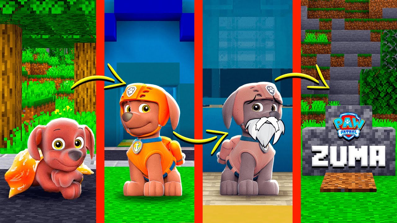 CICLO DE VIDA DE ZUMA PAW PATROL EN MINECRAFT 😱 - YouTube