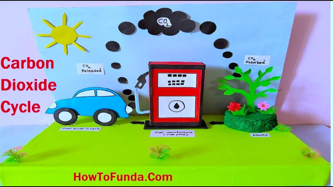 Carbon Model Project