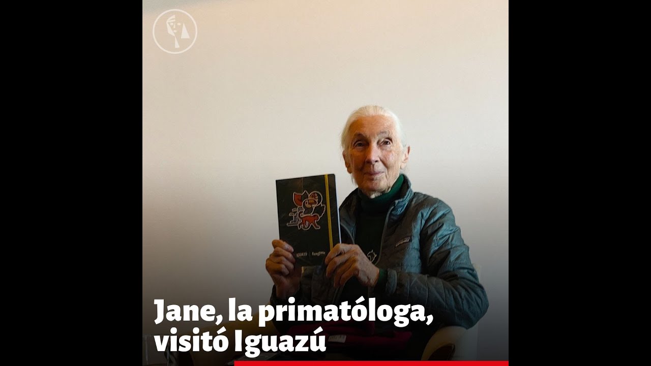 Jane Goodall visitó Puerto Iguazú - YouTube