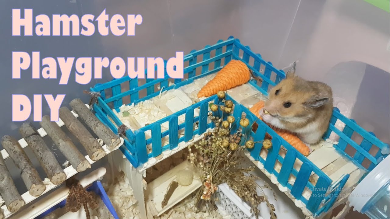 Hamster Playground DIY - YouTube