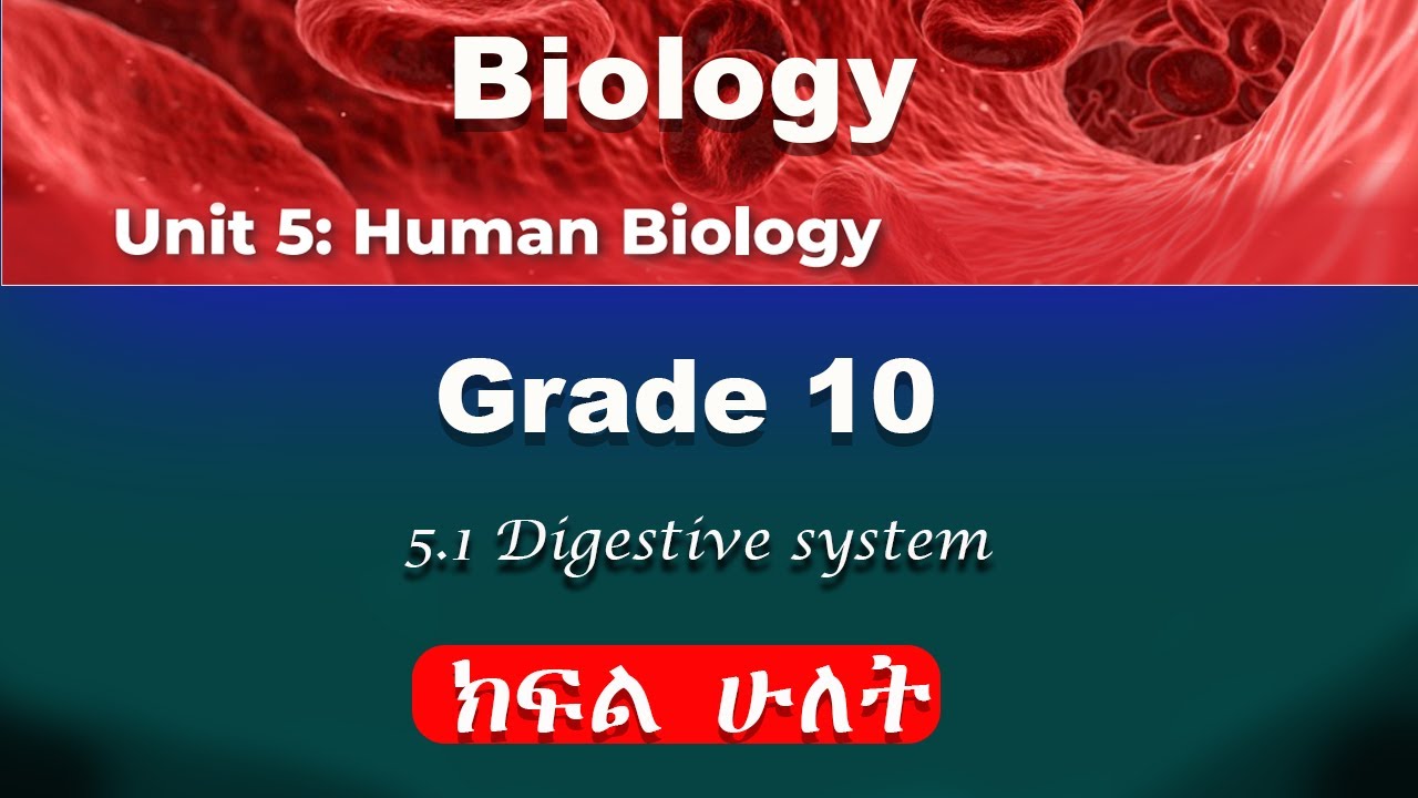 Biology Grade 10 unit 5 part 2 | Human Biology | The Digestive system ...