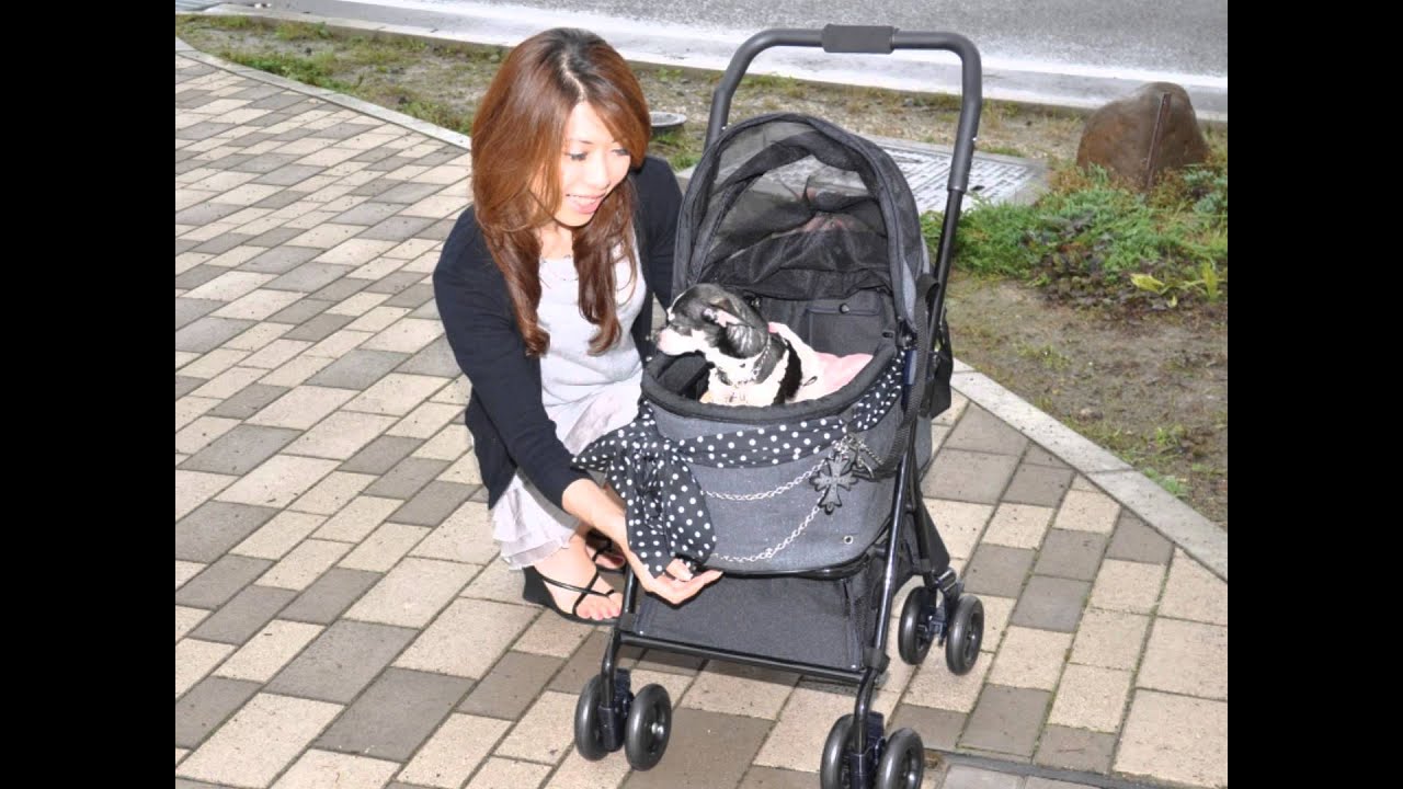 Caninange User's Photo -Pet stroller Japan- vol.8 - YouTube