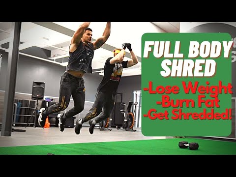Full Body Shred Workout | New Shred Program Dropping Jan. 1st! - YouTube