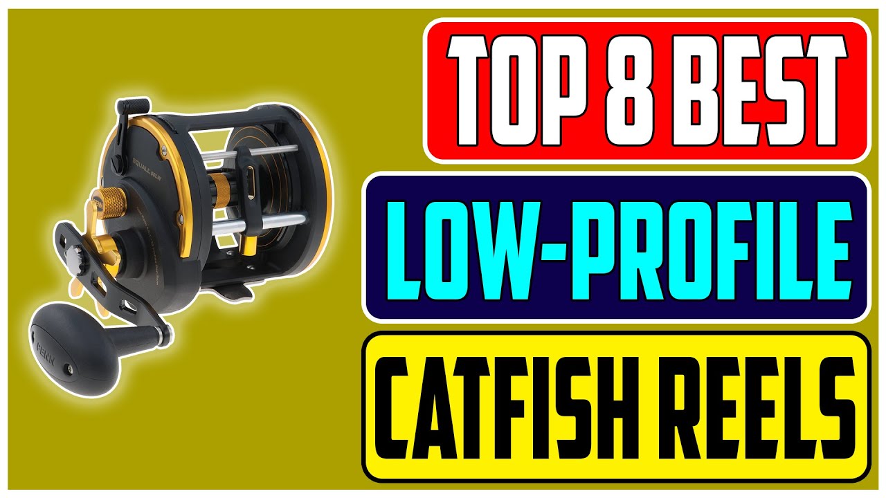 Top 8 Low Profile Baitcasting Reels for Catfish Ultimate Guide and ...