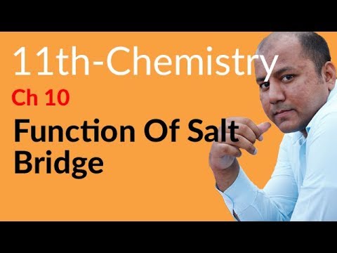 11th Class Chemistry, ch 10 - In Function of Salt Bridge - FSc ...