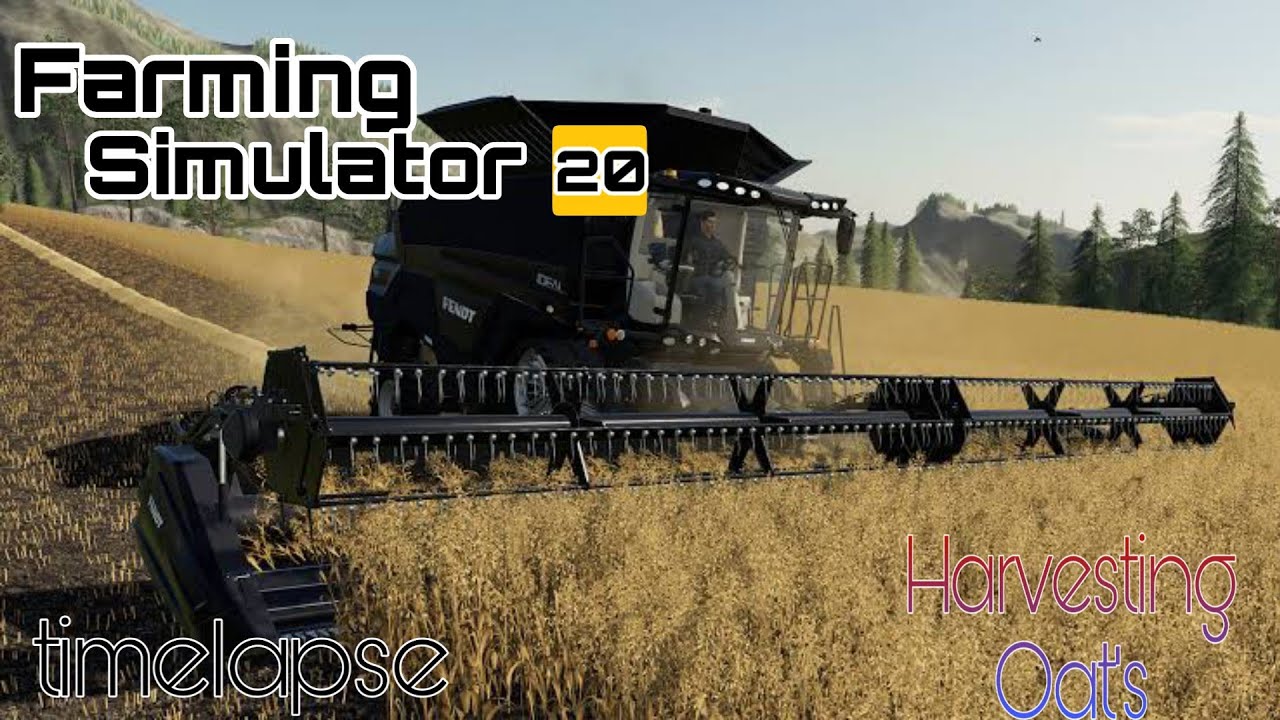 HARVESTING OAT'S | MAKING STRAW BALES | PLANTING CANOLA TODAY. FARMING ...