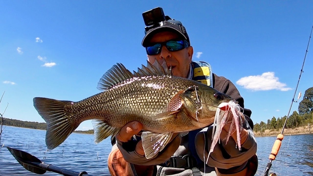 PTP Fishing - Exploring North Pine Dam - YouTube