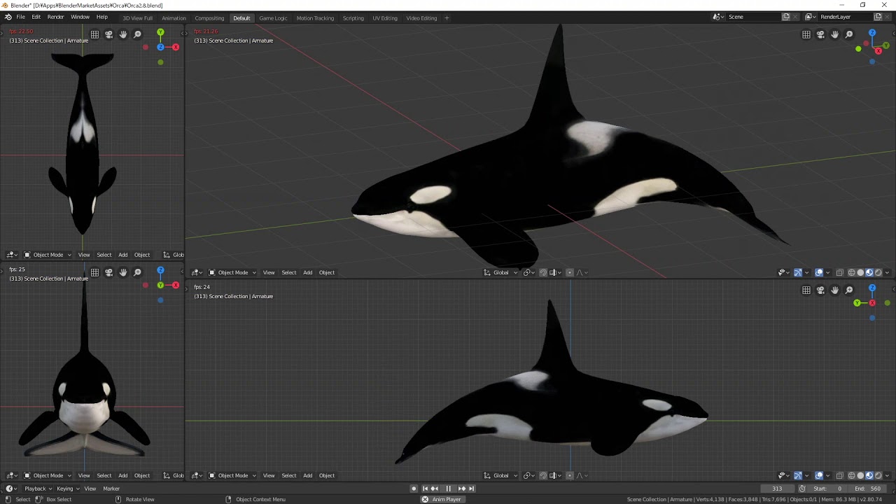 Blender Orca material - YouTube