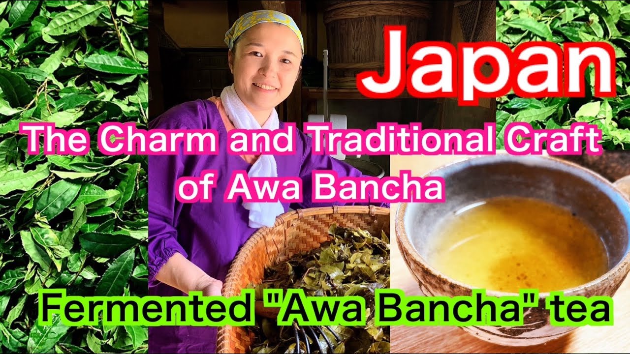 A Miracle Tea with 1,200 Years of Tradition: The Story and Charm of Awa ...