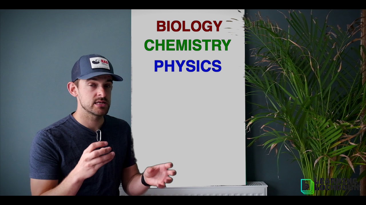 What is a Scientist? - KS2 Science - YouTube