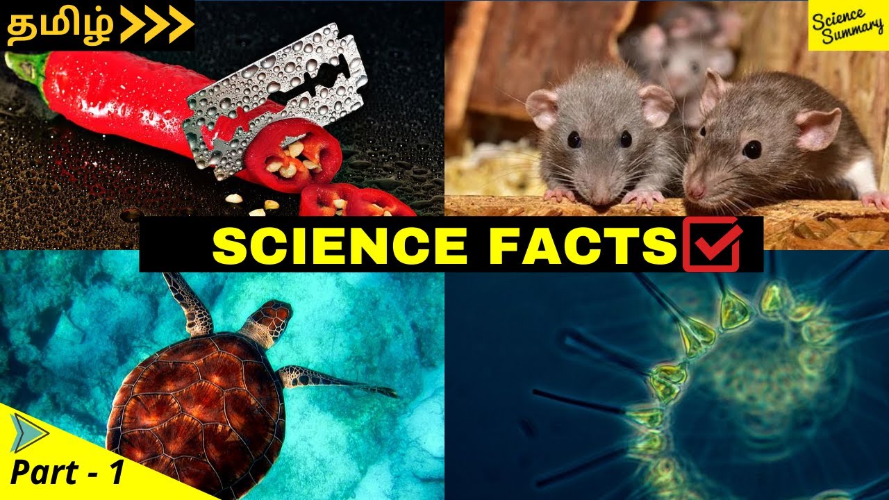Science facts in Tamil | Part 1 | | interesting facts in Tamil ...