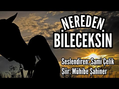 NEREDEN BİLECEKSİN - Seslendiren: Sami Çelik - Şiir: Mühibe Şahiner - Müzik: Mustafa Kabak