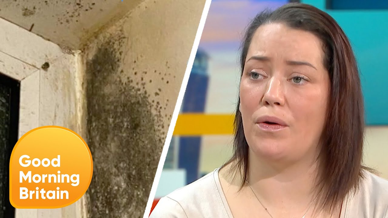 Is My Mouldy Flat Affecting My Children's Health? | Good Morning ...