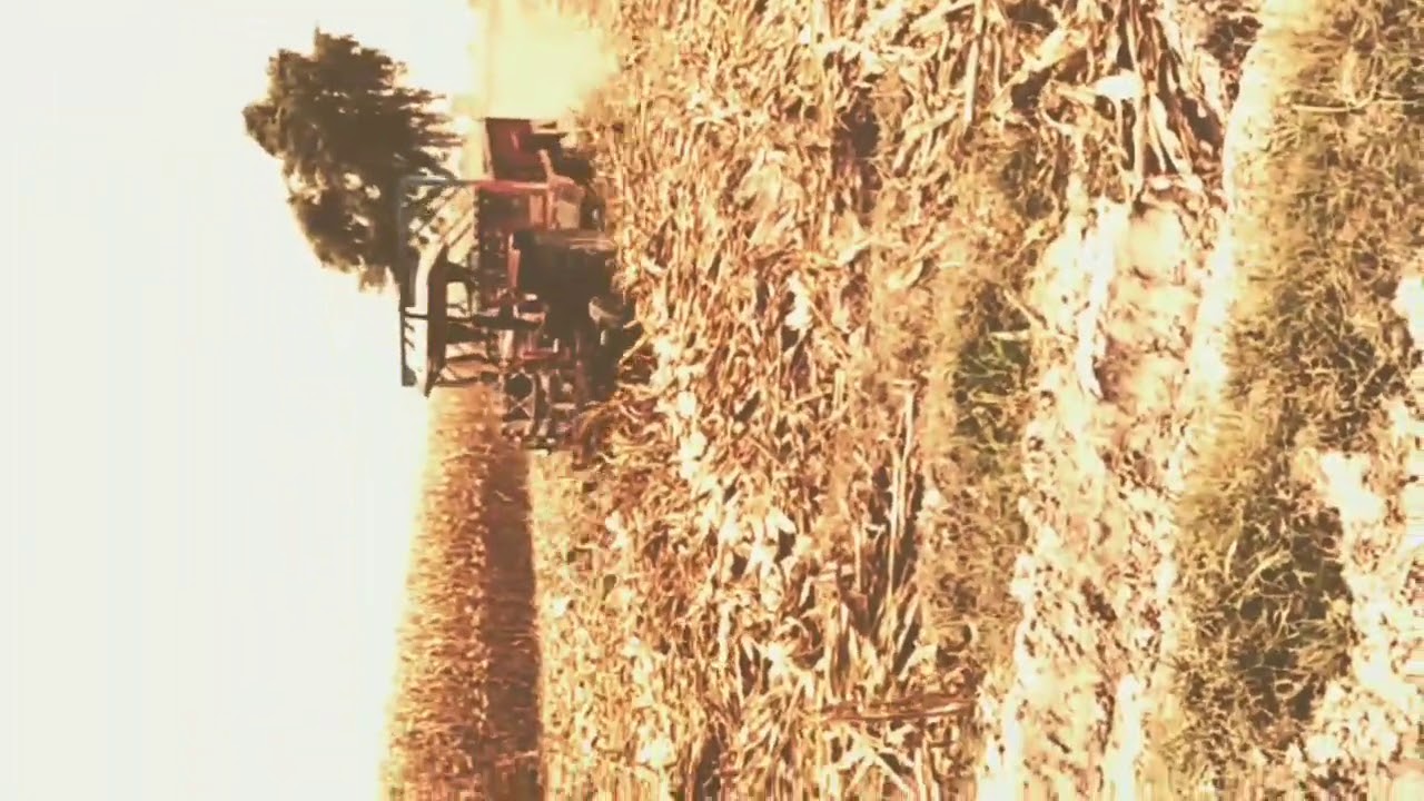 Fiat with maize stunts by watto sab - YouTube