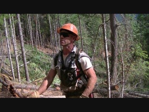 Koller K501 Yarder logging - Rigging Slinger Blowing Whistle Signals ...