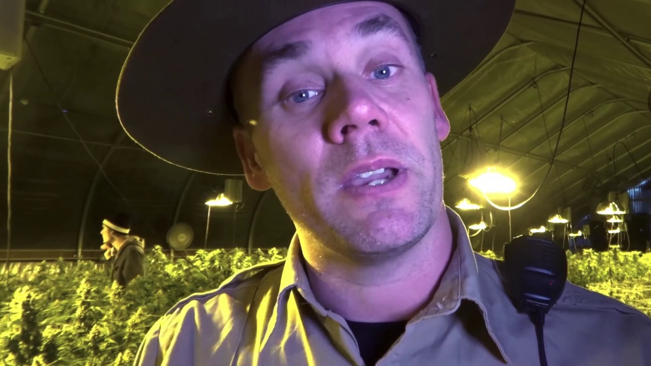 Star Leaf Is Coming | Episode 4 - YouTube