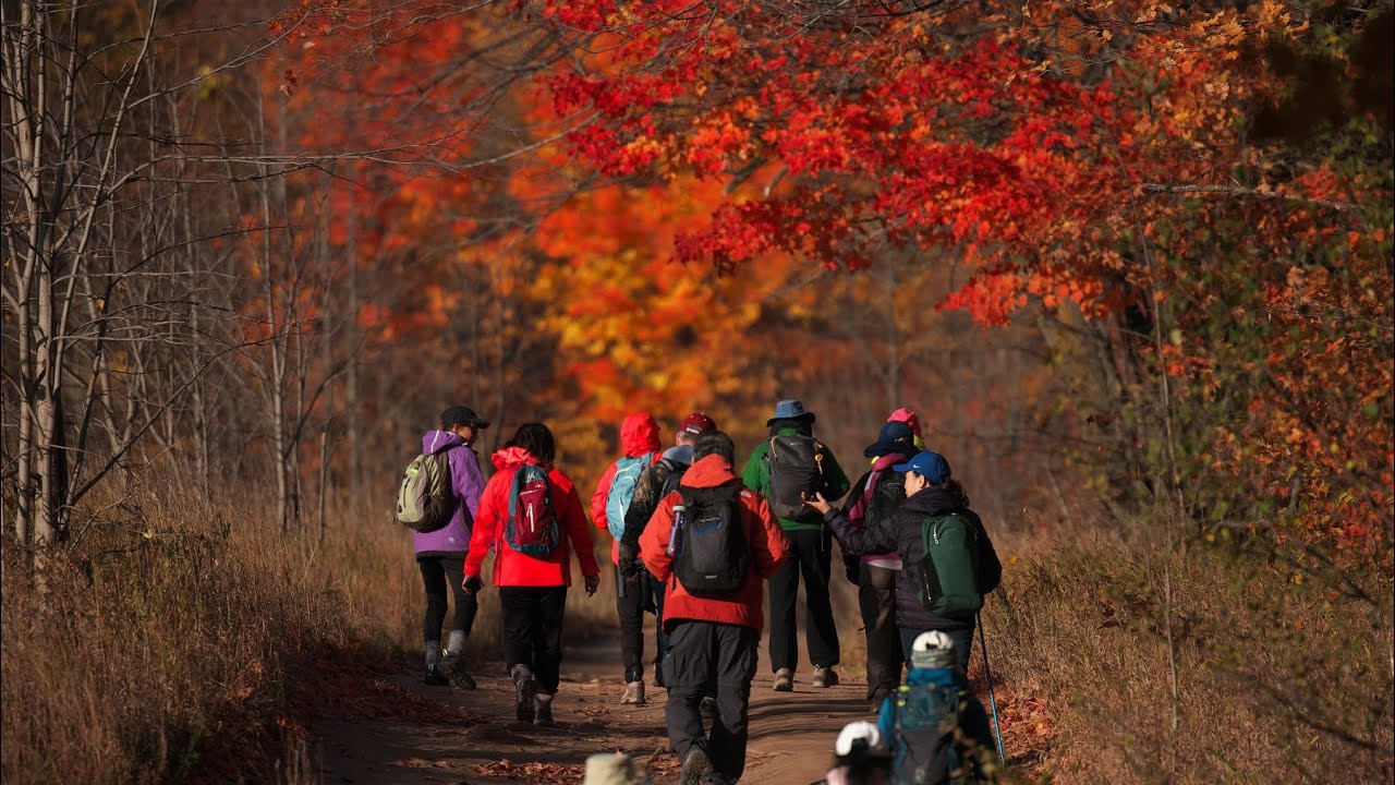 Mono Cliffs Provincial Park Fall colors 2022. - YouTube