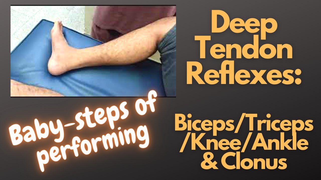 Deep Tendon Reflexes: Biceps/Triceps/Knee/Ankle/Clonus (2nd Prof. MBBS ...