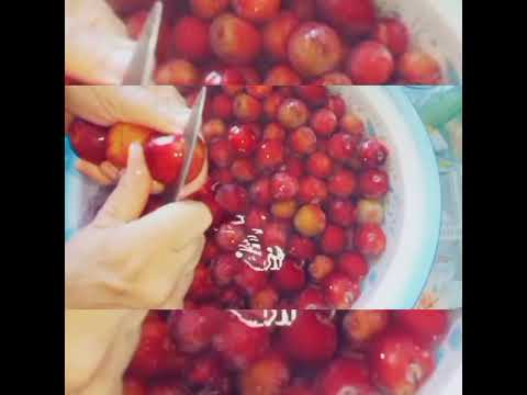 Qırmızı alça kampotu *  Əvvəllər  qazanda qaynatdığımız bu şirəni indi çox asan və tez hazır edirik