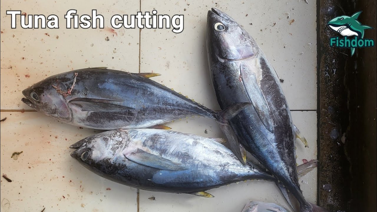 Amazing 😲 ! Yellow fin tuna fish cutting and chopping skills village ...