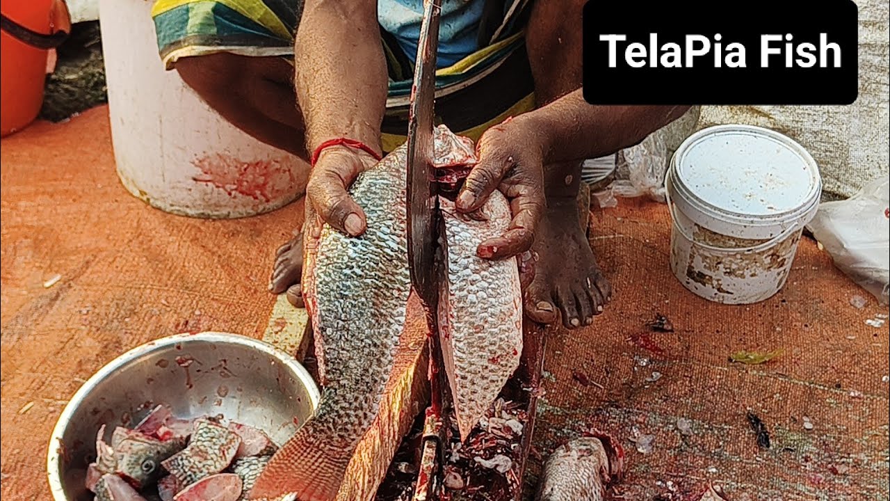 You never seen this type of fish cutting techniques | bd fish & fish ...