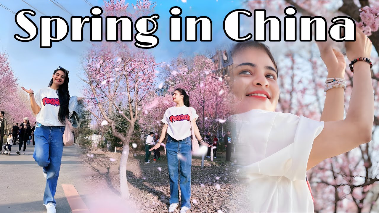 Spring in China 🌸/ Cherry Blossom,Traditional Chinese people,Food - YouTube