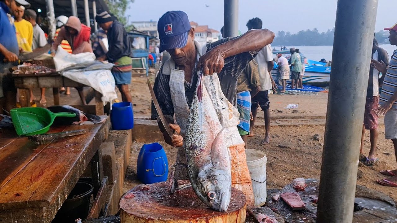 Wow !! Amazing Fish Cutting Skill By Fisherman | Live Fish Cutting ...