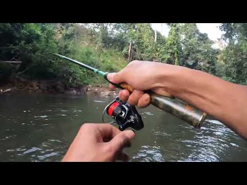 Sesi 1 Jam Menghanyirkan Travel Rod Ultralight | Baifu Startlure 1-5lb ...