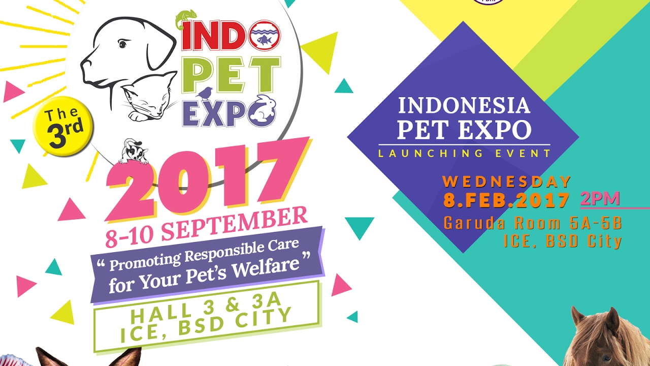 CatVlog - INDOPET EXPO 2017 | INTERNATIONAL CONVENTION EXCHIBITON BSD ...