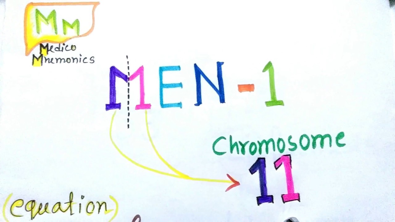 Mnemonic for Multiple Endocrine Neoplasia Transmission,MEN type 1 ...