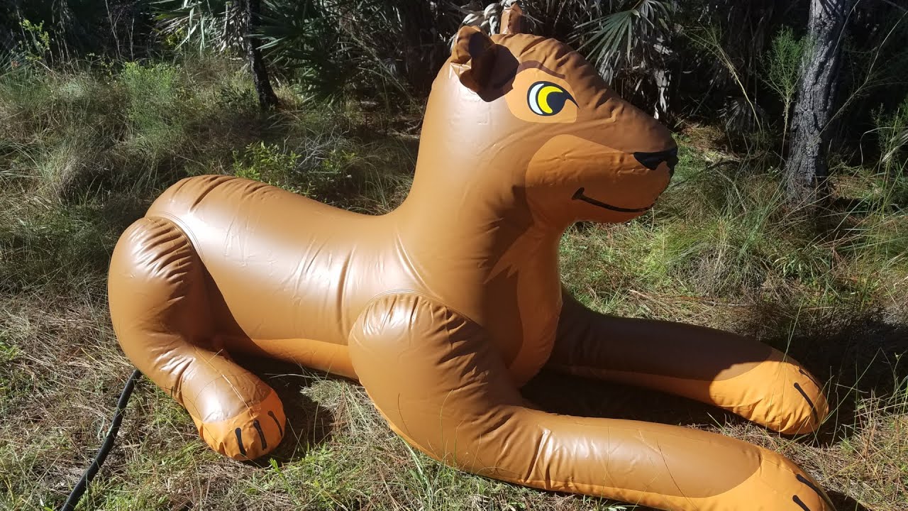 Nala the Inflatable Lioness Ride-On Pool Toy from G&G Toys - YouTube