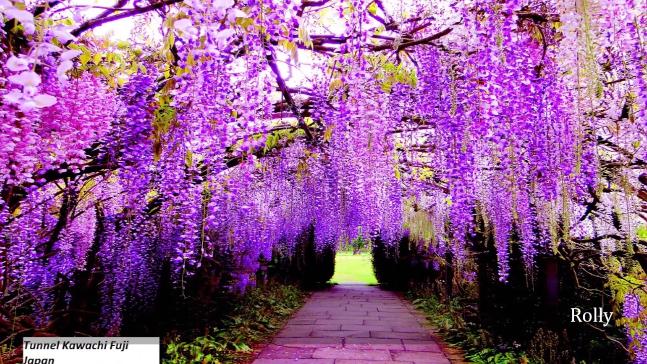 TOP most spectacular / exciting / most beautiful tunnels in the world ...