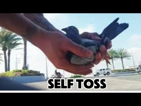 SINGLE TOSS/SOUTH WARRIOR'S - YouTube