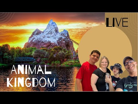 Live Stream: Animal Kingdom Park Rides, Food, and Fun at Walt Disney ...