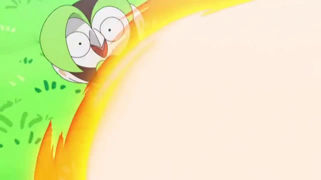 Ash's Rowlet stars the fight Vs Hau by the move Seed-Bomb ! [...] - YouTube