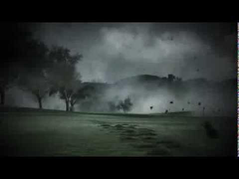 ANIMALS matrix - YouTube