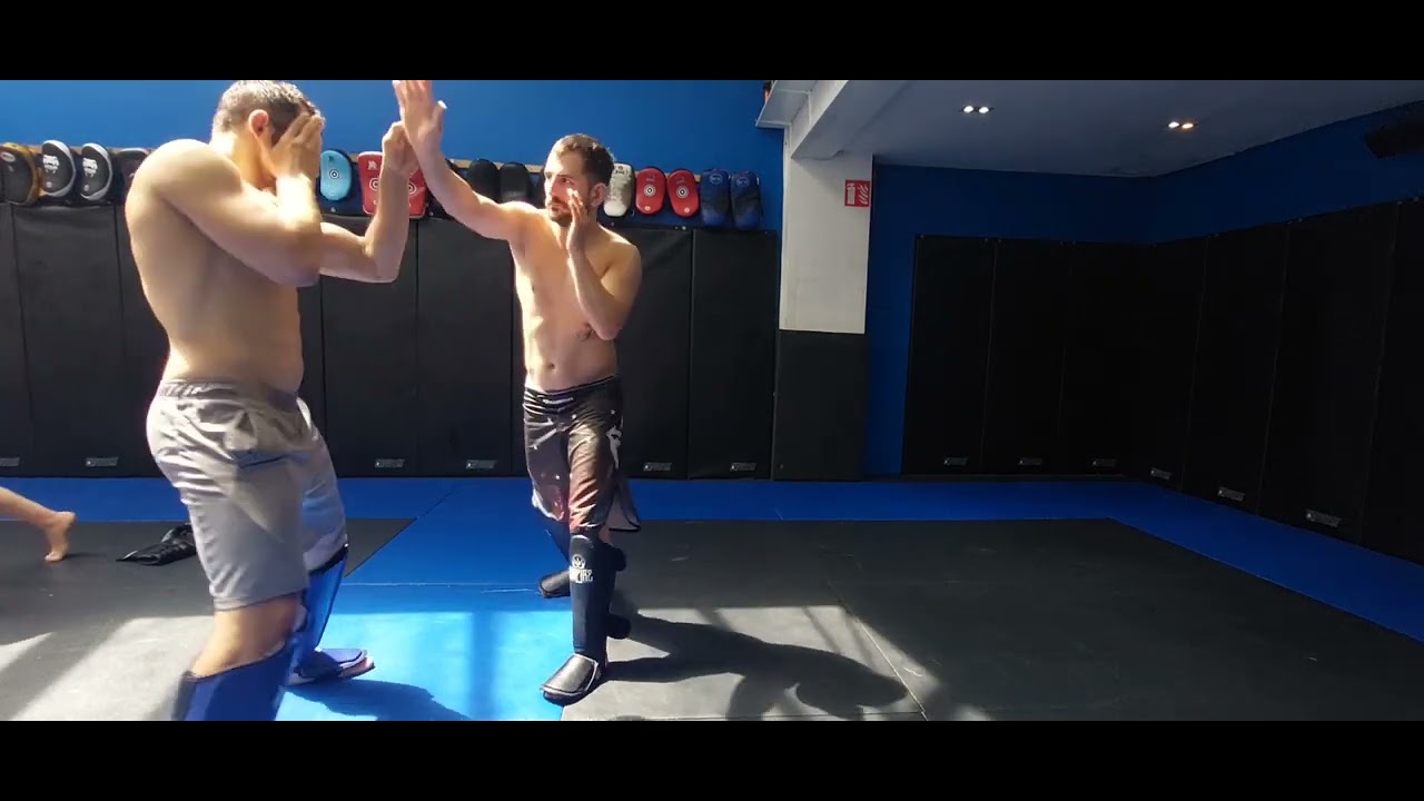 Touch sparring with rear low kick drill - YouTube