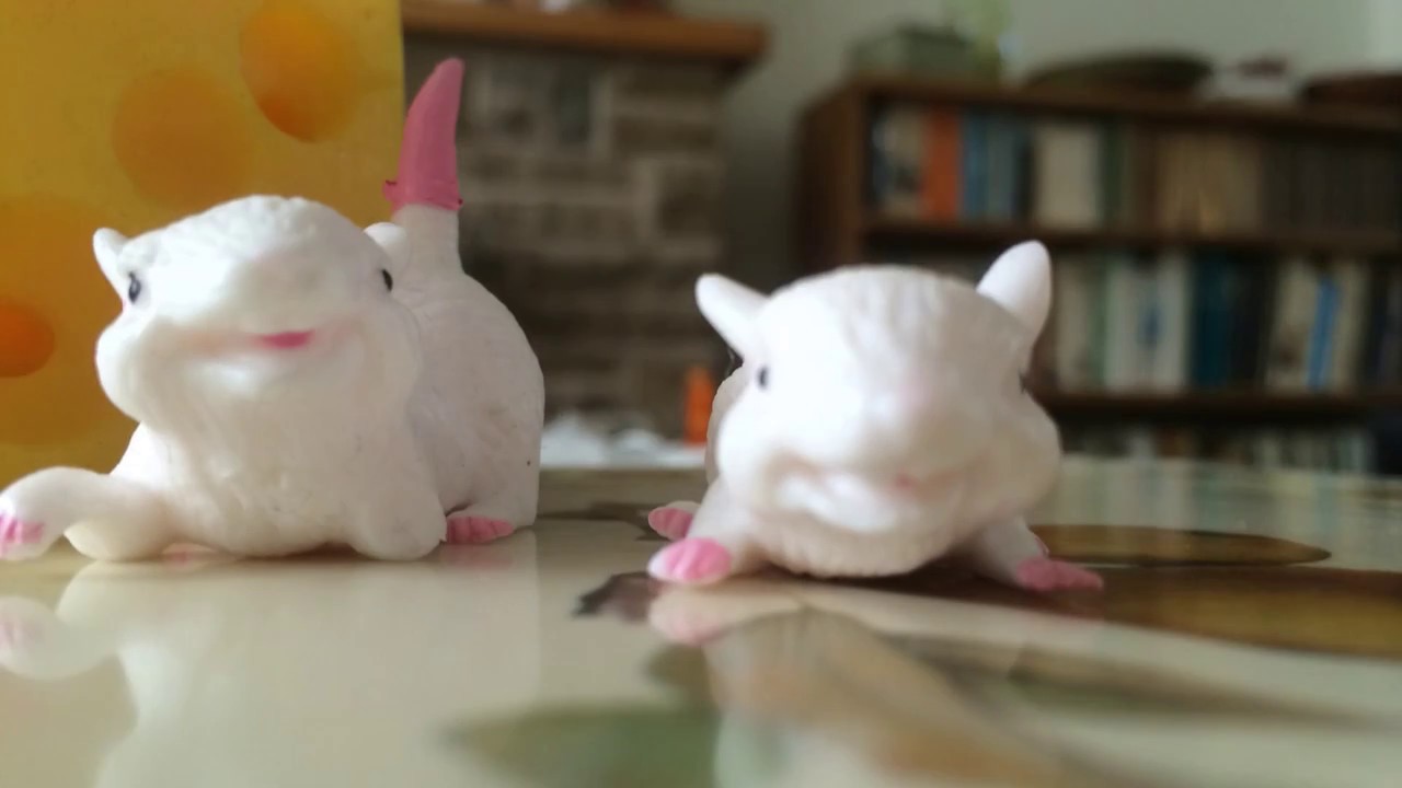 The two mice - stop motion animation - YouTube