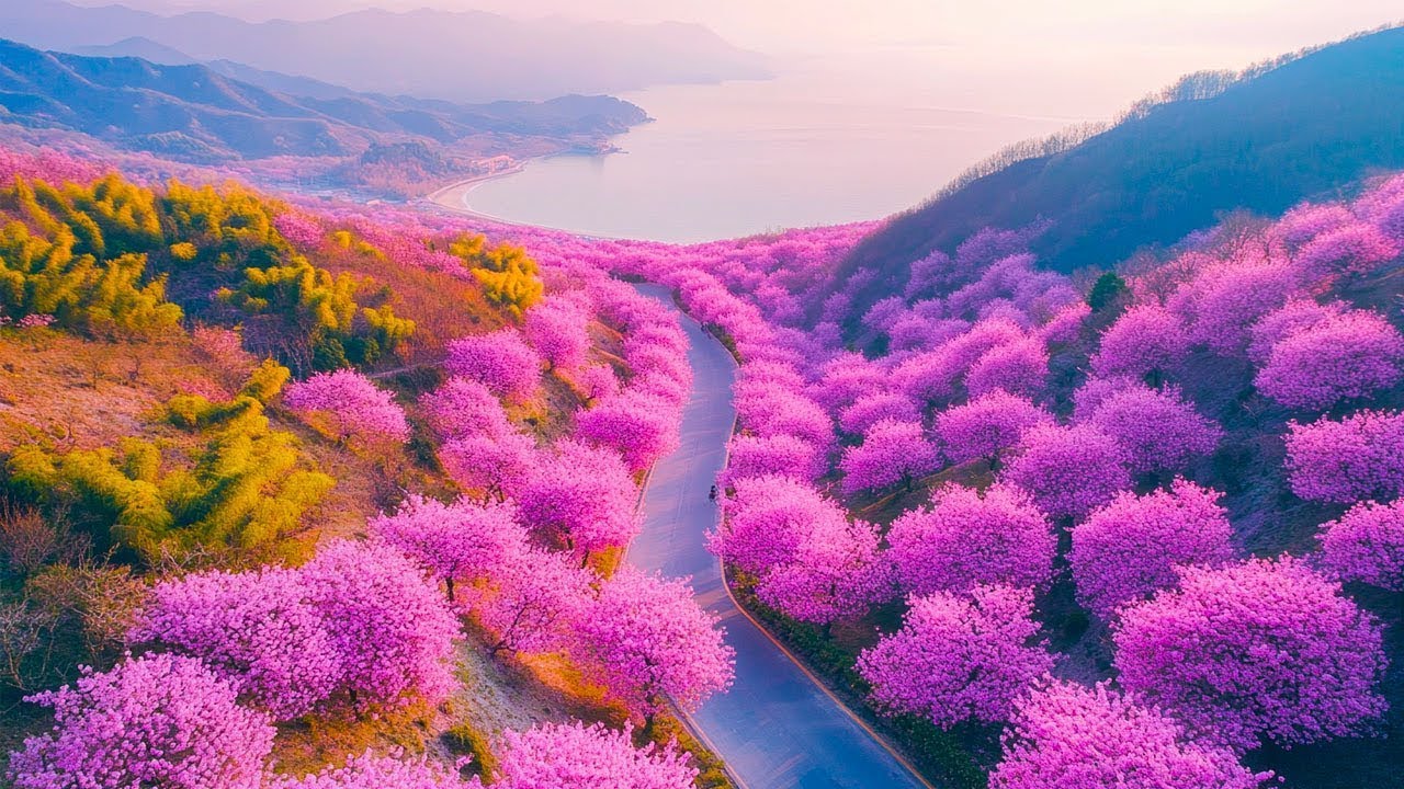 Romantic March 🌹 Soothing Melodies for Love, Peace & Relaxation 🌸Soft ...