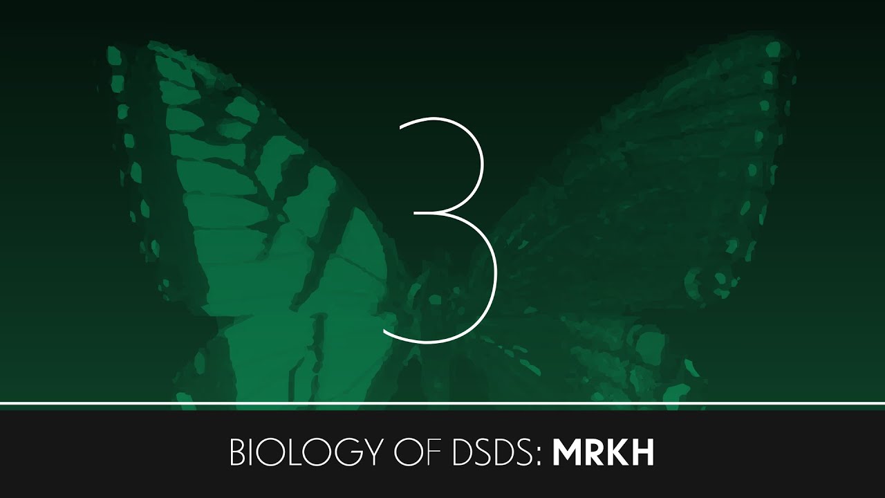 Biology of DSDs (3) Mayer-Rokitansky-Küster-Hauser syndrome (MRKH ...