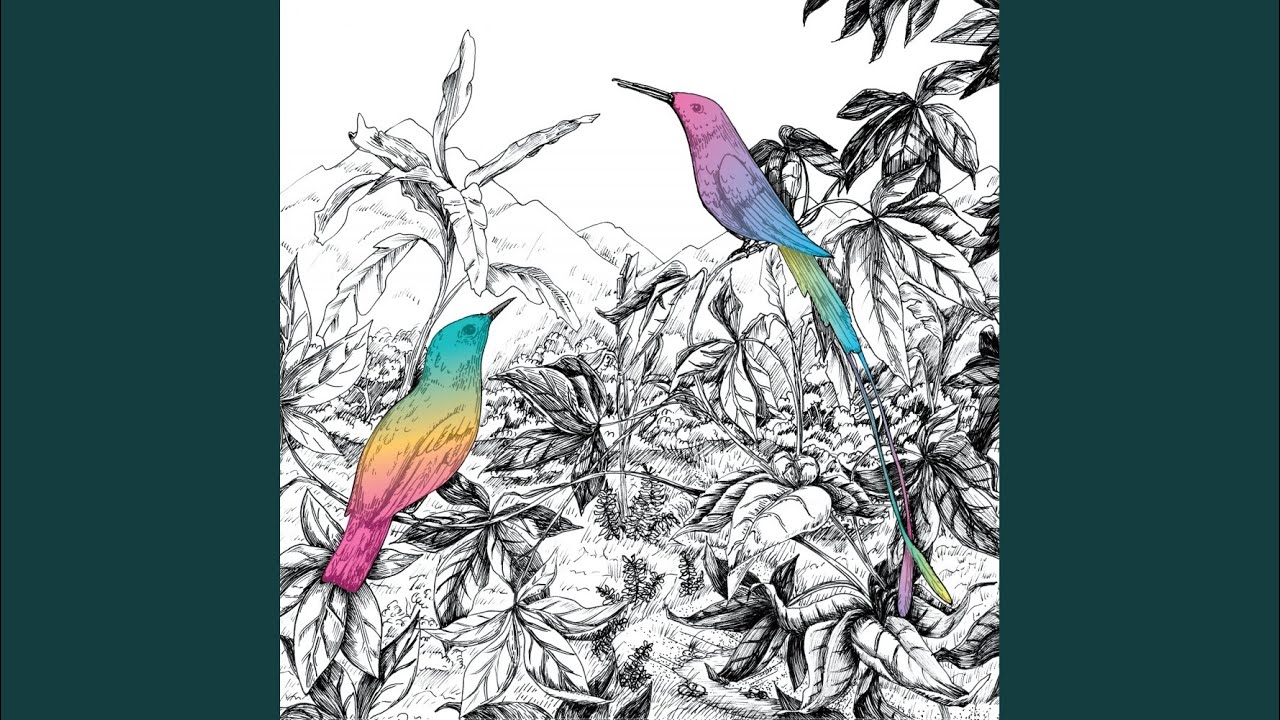 Nymphs (Original Mix) - YouTube